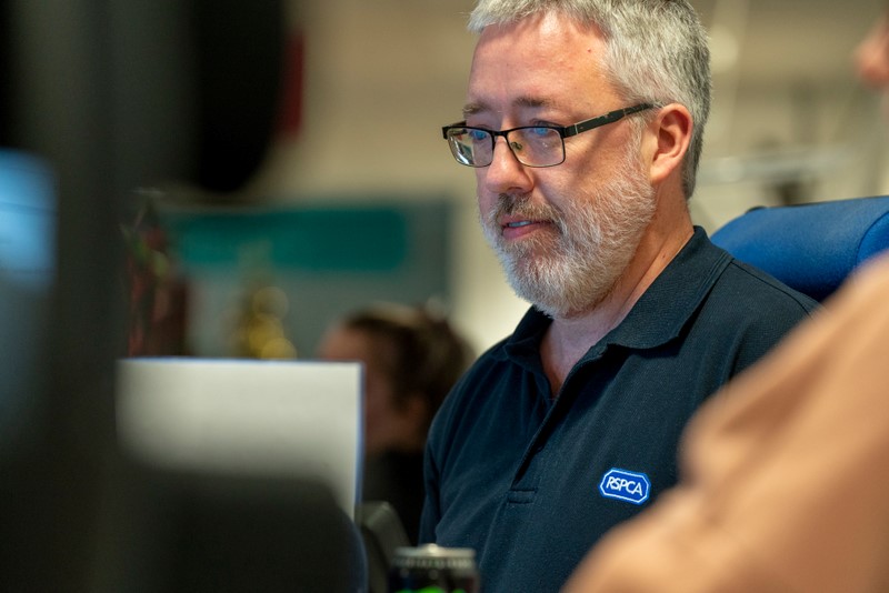 RSPCA to increase use of chatbots as part of digital transformation ...